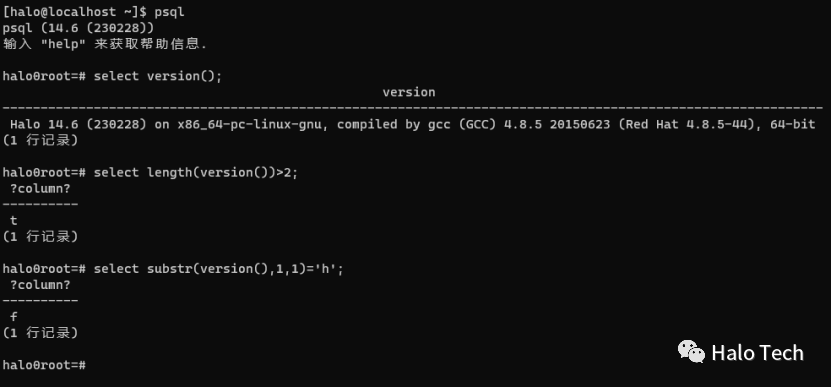 Halo数据库的sql注入与预防 - 墨天轮