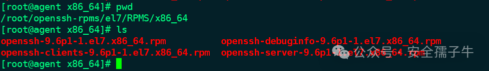 OpenSSH升级到9.6P1以修复CVE-2023-51385漏洞 - 技术颜良 - 博客园