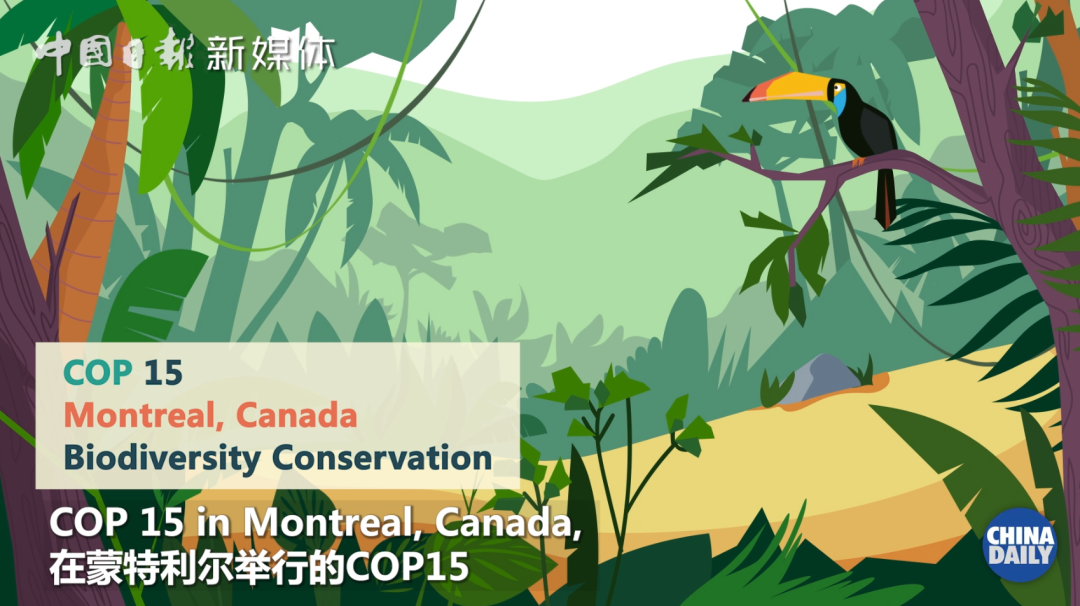 【重点关注】COP15 COP26 COP27？一文讲清楚！-企业官网