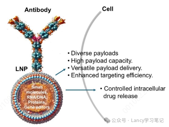 Ab-tLNP：RNA 界的 ADC 技术解析，抗体靶向 LNP 开辟基因治疗精准新路径
