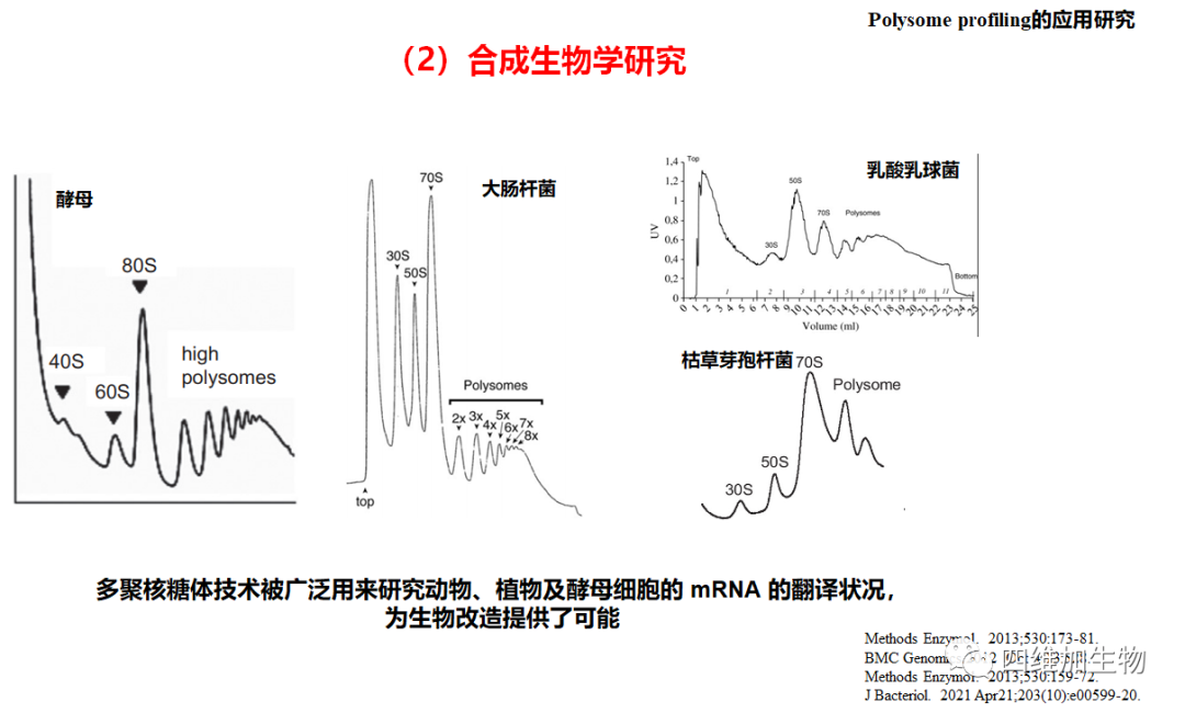 多核糖体图谱分析技术 Polysome-profiling 提升核心竞争力-四维加生物科技（武汉）有限公司官网,武汉分子生物平台,武汉细胞分子 ...