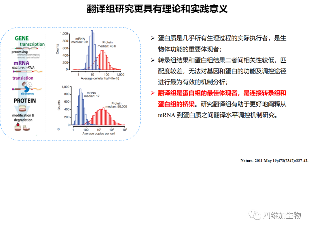 多核糖体图谱分析技术 Polysome-profiling 提升核心竞争力-四维加生物科技（武汉）有限公司官网,武汉分子生物平台,武汉细胞分子 ...