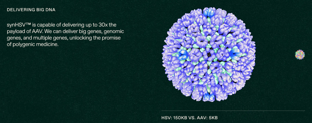 新锐！Replay推出首个HSV载体眼科基因治疗公司Eudora医药新闻-ByDrug-一站式医药资源共享中心-医药魔方