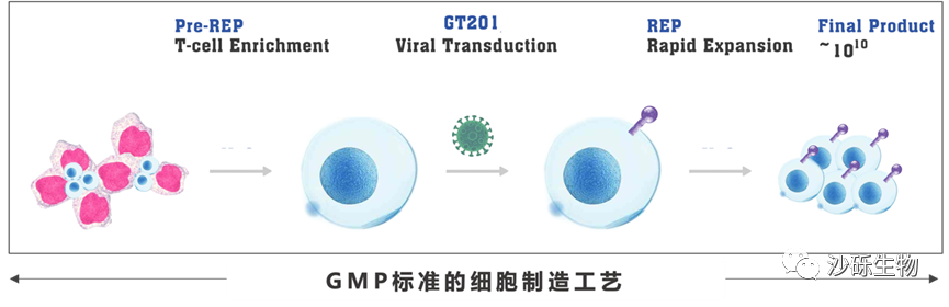 沙砾生物基因编辑型TIL产品GT201临床试验申请获受理医药新闻-ByDrug-一站式医药资源共享中心-医药魔方