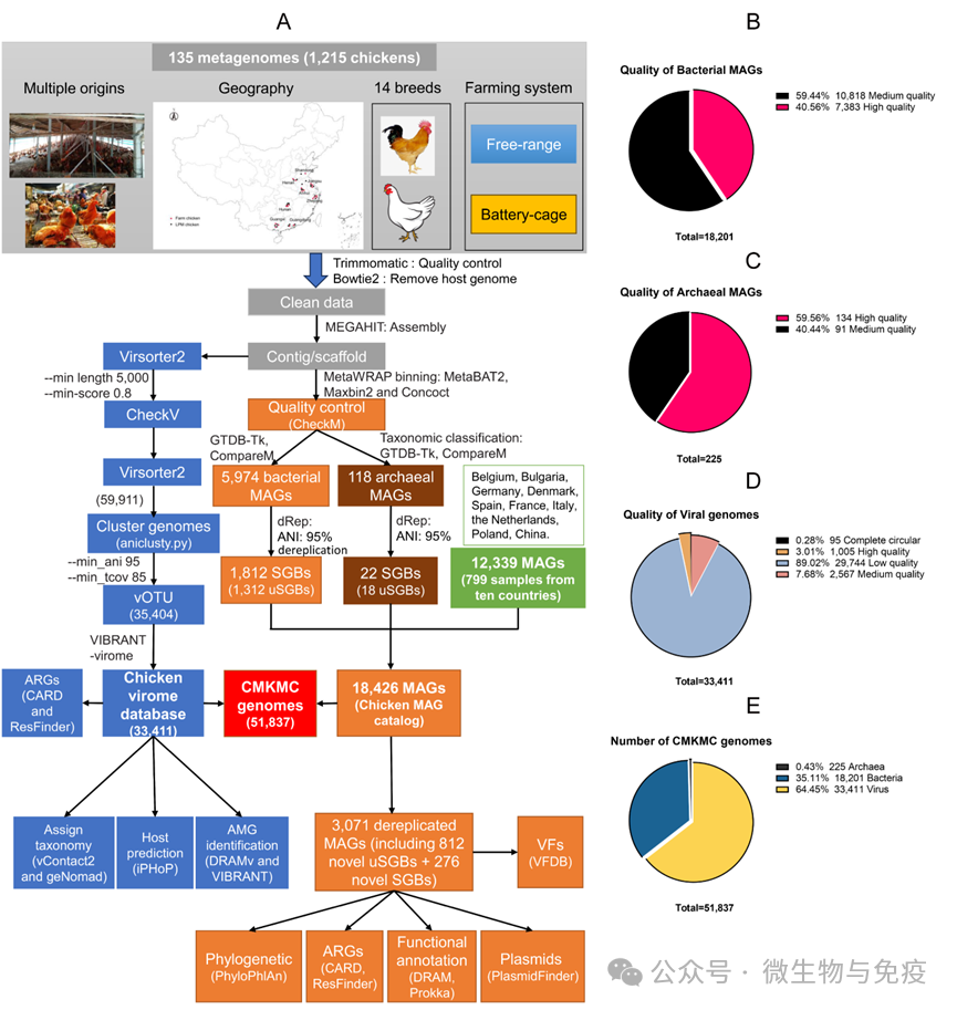 科学网—[转载]Biosafety and Health：河南农业大学王亚楠教授构建国际上首个鸡胃肠道多界微生物基因组目录 - 王亚楠的博文