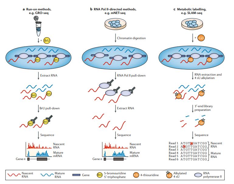 科学网—Nature重磅综述 |关于RNA-seq，你想知道的都在这 - 陈同的博文
