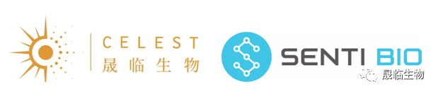 晟临生物：与Senti Bio就实体瘤治疗产品开展战略合作医药新闻-ByDrug-一站式医药资源共享中心-医药魔方