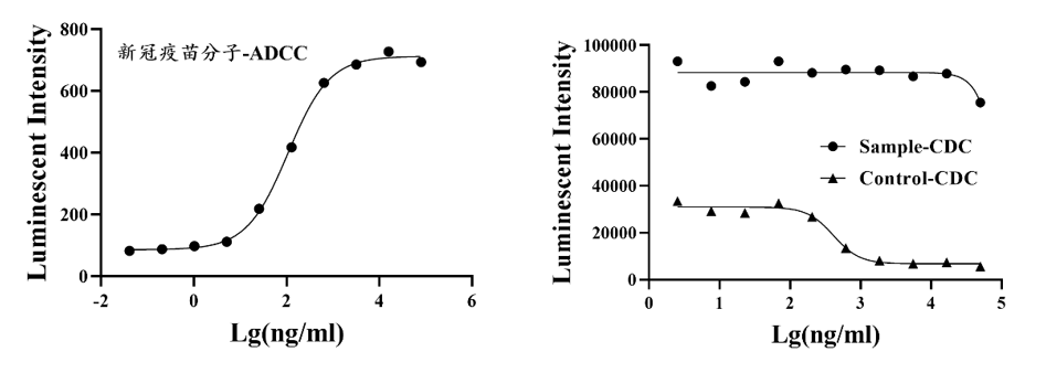 生物活性检测：ADCC、ADCP与CDC