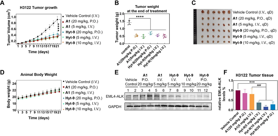 疏水标签蛋白降解新工具——降冰片烯 - 脉脉