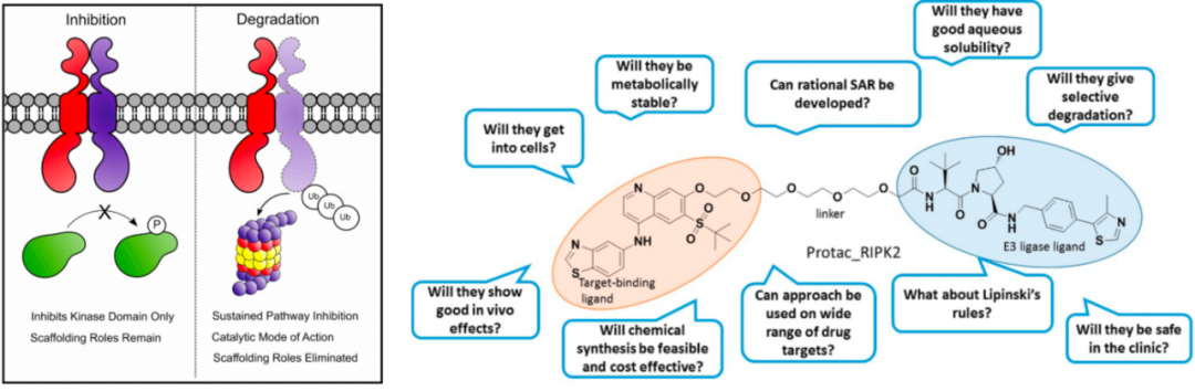 PROTAC：技术进展及降解剂汇总 - 脉脉