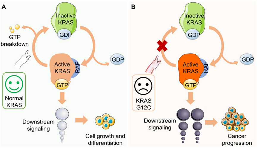 面对KRAS耐药该如何应对？ - 脉脉
