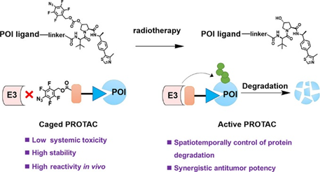 最新总结 | 不同条件响应型的Pro-PROTAC - 脉脉
