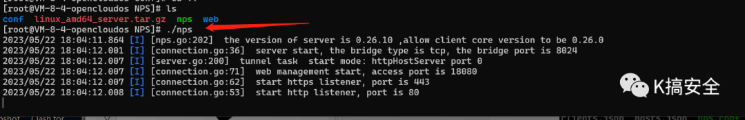 内网穿透代理（NPS）搭建以及使用 - websec80 - 博客园