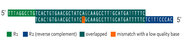 fastp v0.19.4_fastp软件下载-CSDN博客