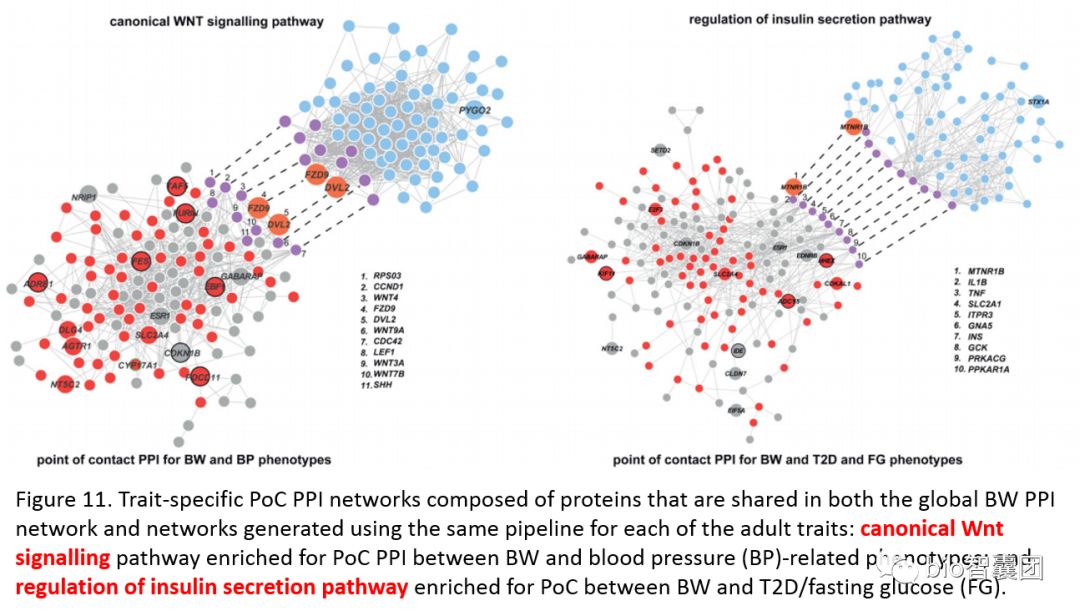 GWAS分析基本流程及分析思路 - 橙子牛奶糖 - 博客园