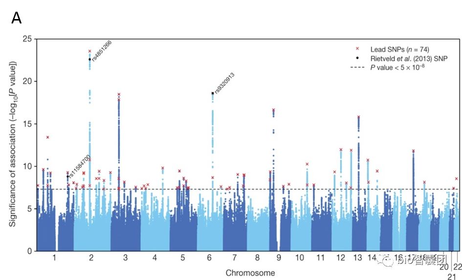 GWAS分析基本流程及分析思路 - 橙子牛奶糖 - 博客园