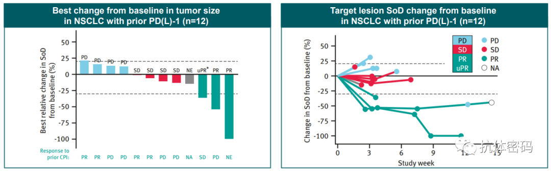 T细胞共刺激靶标：4-1BB - 脉脉