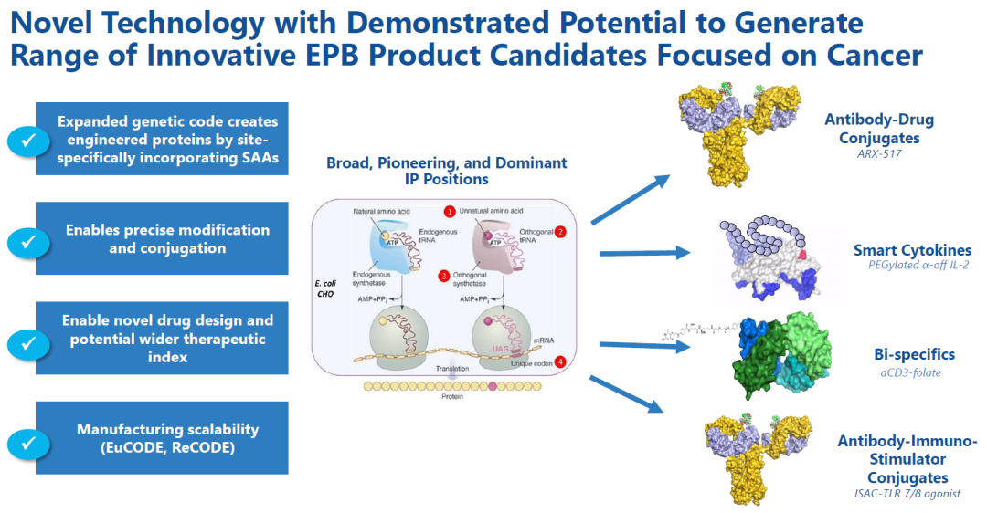 Ambrx股价涨54%：PSMA靶向ADC临床试验结果积极医药新闻-ByDrug-一站式医药资源共享中心-医药魔方