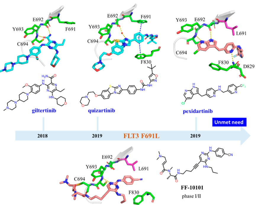 JMC综述| 靶向激酶门卫突变的药物研发 - 脉脉
