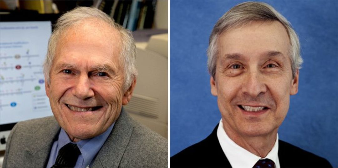 2019诺贝尔生理学或医学奖即将公布_美必思医学编译