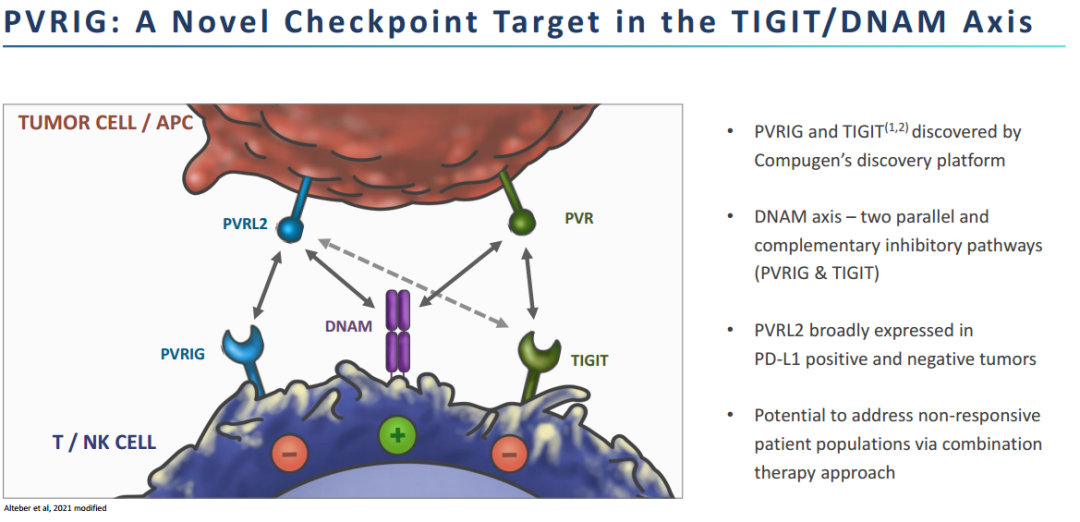 国内第2家！普米斯CD112R/TIGIT双抗申报临床医药新闻-ByDrug-一站式医药资源共享中心-医药魔方