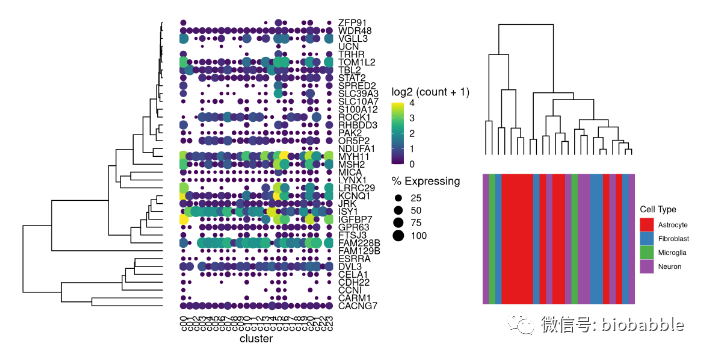 aplot包：让你画出更复杂的图 - 小明小红 - 博客园