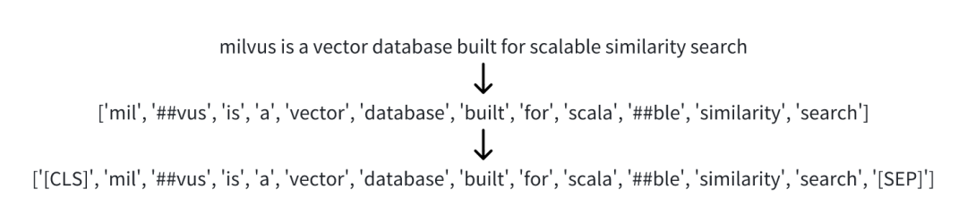 详解 BGE-M3 与 Splade 模型 - 脉脉