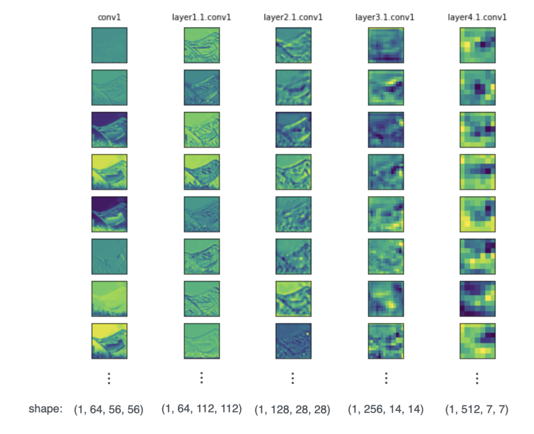 Towhee 可视化工具，帮你理解AI模型！ - 脉脉