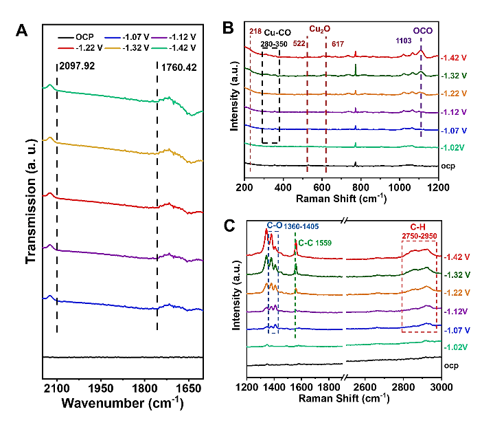 中科院化学所韩布兴/孙晓甫团队Chem Catal.：电催化耦合CO2和甲醛反应