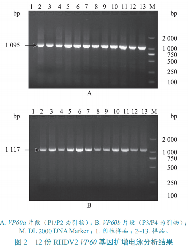中国动物卫生与流行病学中心