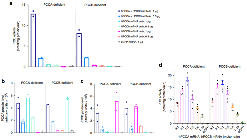Moderna mRNA疗法研究中新技术运用-Digital Western案例分享 - Py学习