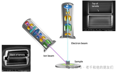 聚焦离子束（FIB-SEM）技术解读