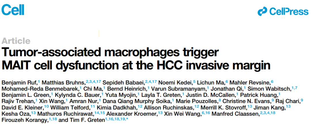 肿瘤相关巨噬细胞在HCC浸润边缘影响MAIT细胞正常功能医药新闻-ByDrug-一站式医药资源共享中心-医药魔方