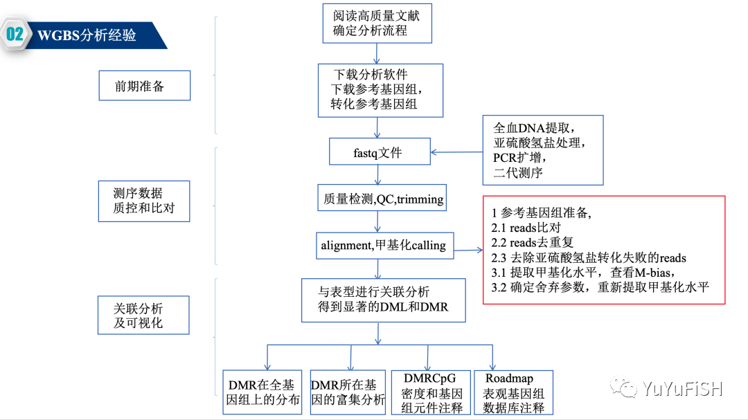 WGBS上游分析 - CASTWJ - 博客园