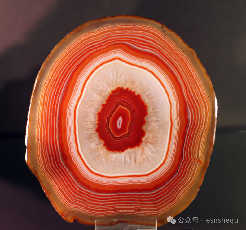 [黑客群组增长技能]深入了解软件逆向工程的核心概念—2026 | ZONE.CI 全球网