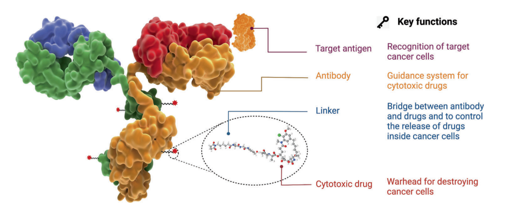 ADC技术报告：下一代ADC发展前景预测 - 脉脉