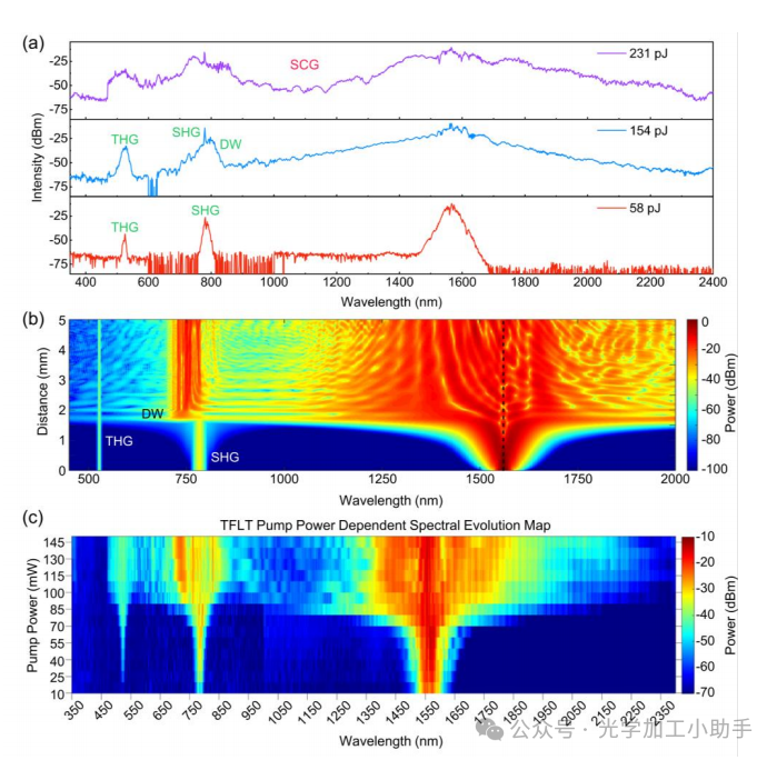 钽酸锂光波导--三倍频超连续谱生成：薄膜钽酸锂波导中紫外光谱的三倍跨越（电子科大&上海科大）_新闻中心_上海奥麦达微电子有限公司