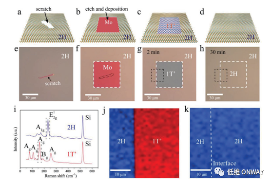 Adv. Mater.：重结晶修补二维材料2H-MoTe2-上海昂维科技有限公司