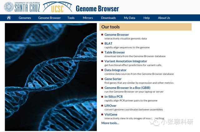 【深入UCSC Genome Brower】他山之石_ucsc看序列的保守区域-CSDN博客