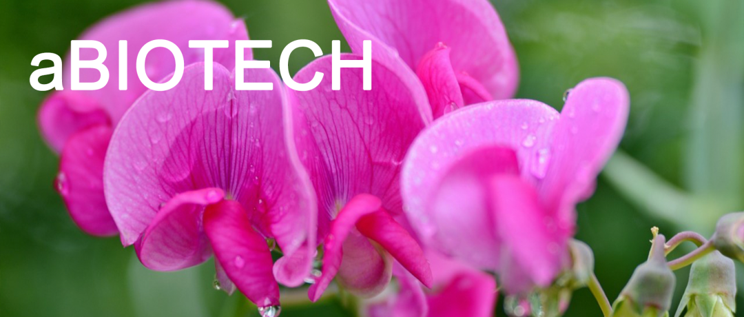 科学网—aBIOTECH | 程时锋-豌豆功能基因组与分子育种研究进展与展望 - 李楠的博文