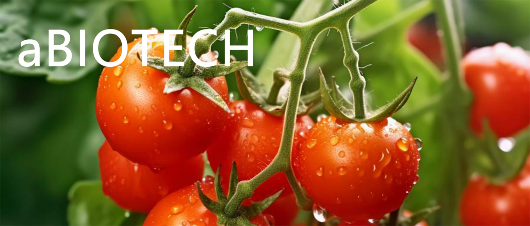 科学网—aBIOTECH | 吕培涛课题组综述RNA修饰在植物发育和果实成熟中的应用 - 李楠的博文