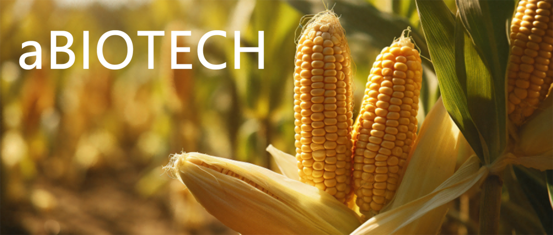 科学网—aBIOTECH | 全基因组复制和链特异性的共线性基因识别工具quota_Anchor上线 - 李楠的博文