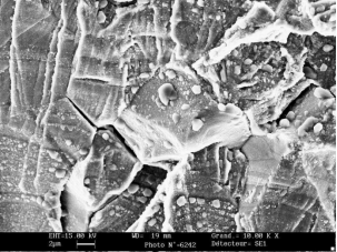 【CAE案例】应力腐蚀开裂（SCC）的有限元仿真-技术邻