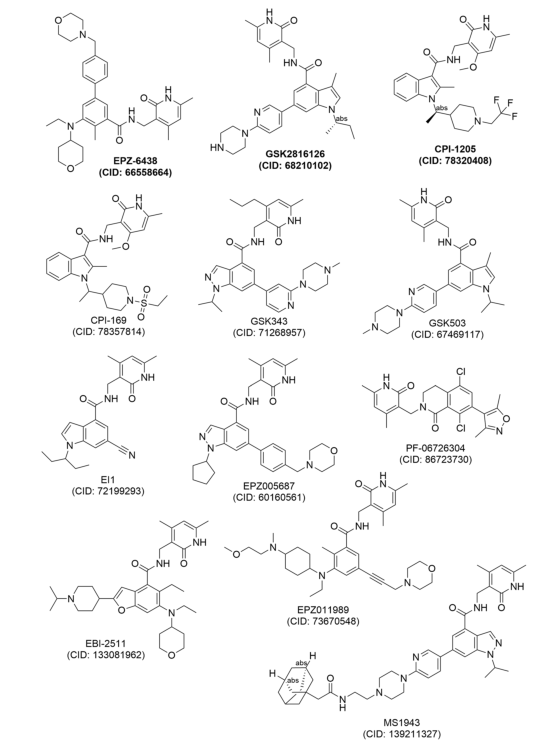 肿瘤新型治疗靶点：EZH1/2 - 脉脉