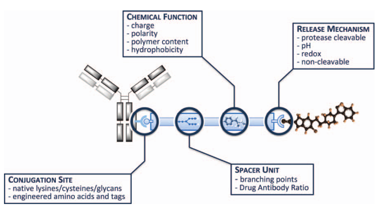 ADC连接子设计与ADC赋能 - 脉脉