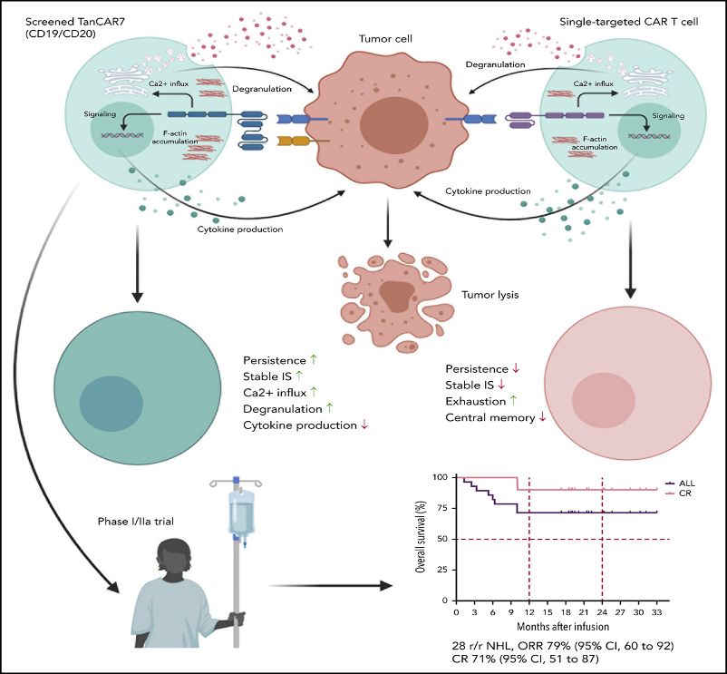 提高CAR-T细胞治疗疗效的三大策略 - 脉脉