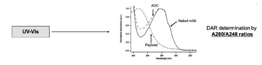 ADC药物抗体比(DAR)的表征分析方法 - 脉脉