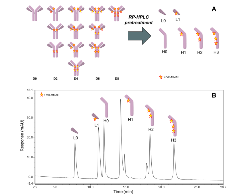 ADC药物抗体比(DAR)的表征分析方法 - 脉脉