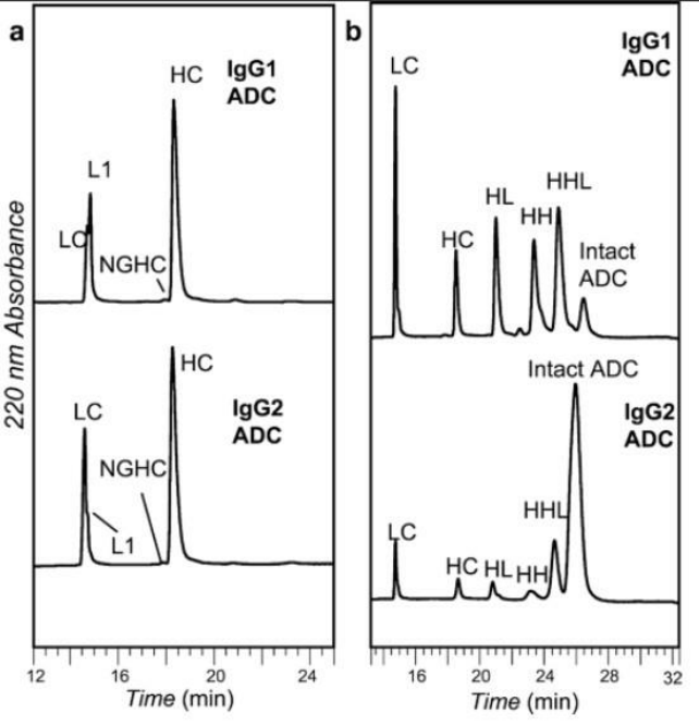 ADC药物抗体比(DAR)的表征分析方法 - 脉脉