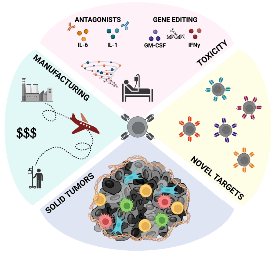 更进一步--CAR T疗法需突破关键的四大关卡 - 脉脉